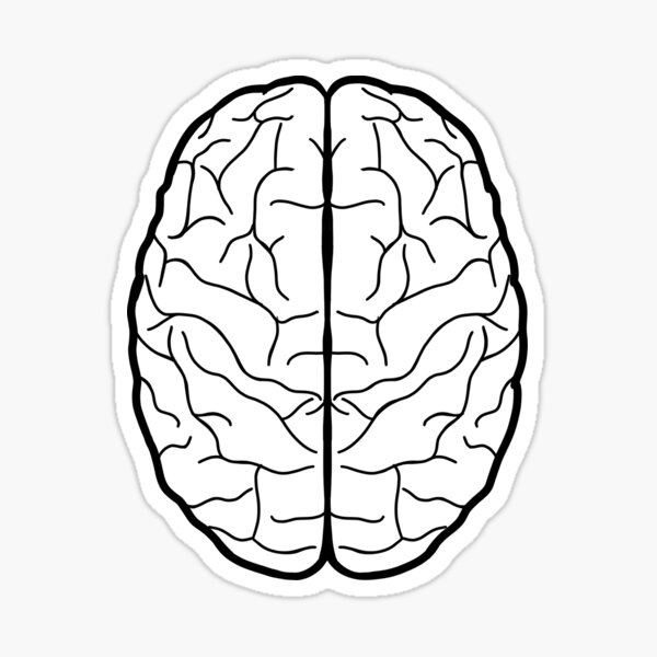 "Brain " Sticker for Sale by ohmygosh-design | Redbubble