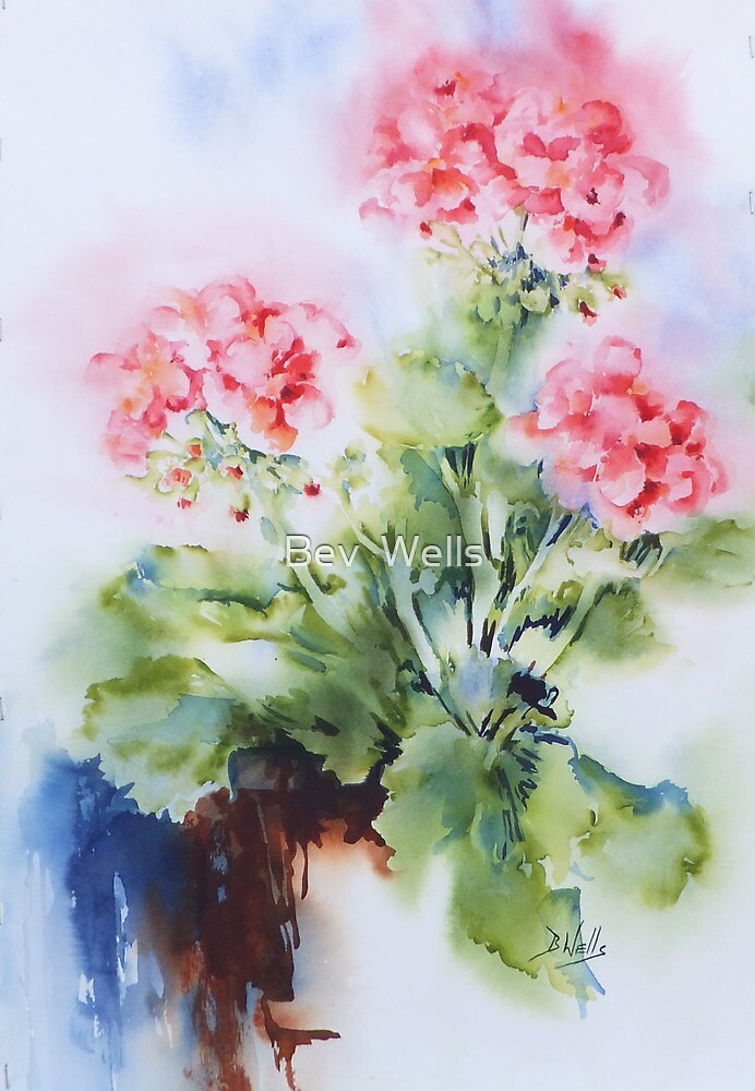 "Geranium" by Bev Wells | Redbubble