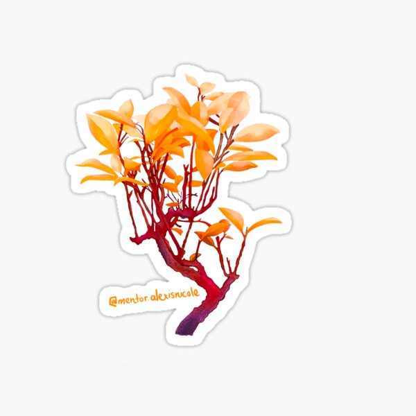 "Golden-Gate Ficus Bonsai Tree (Hashi) " Sticker for Sale by ...