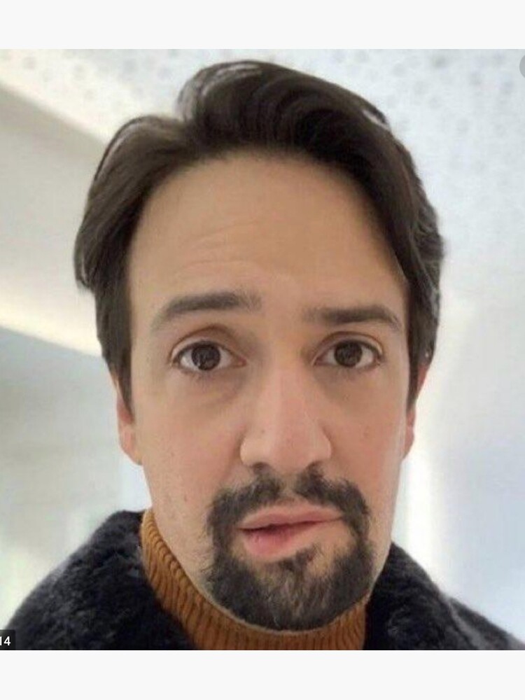 "lin meme" Poster for Sale by itslaurengarcia | Redbubble