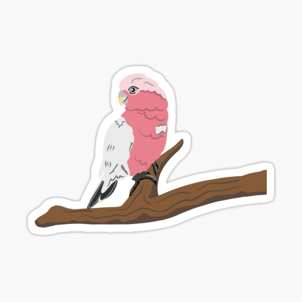 "Galah" Sticker by Tilly-Scribbles | Redbubble