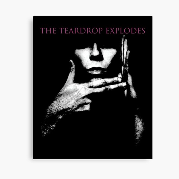 Teardrop Explodes Canvas Prints | Redbubble