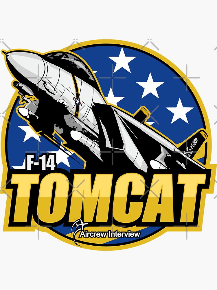 "F-14 Tomcat" Sticker for Sale by ACInterview | Redbubble