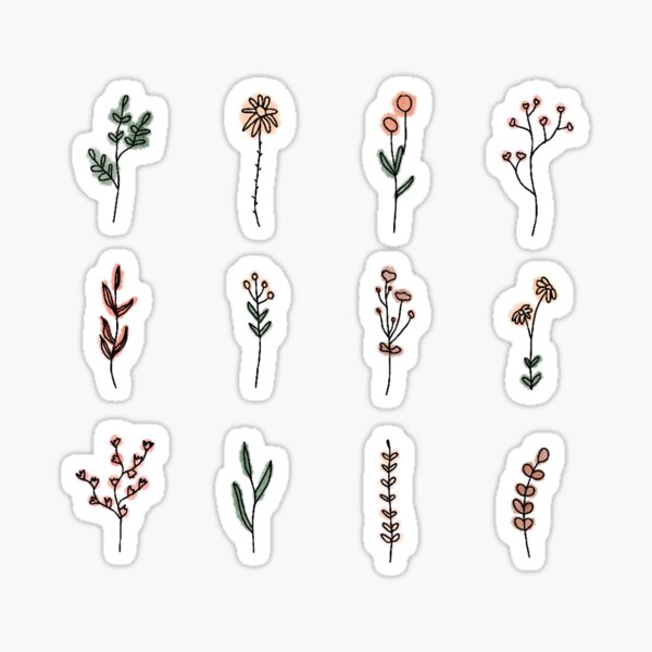"Minimalist flower drawings" Sticker for Sale by honeystickersz | Redbubble