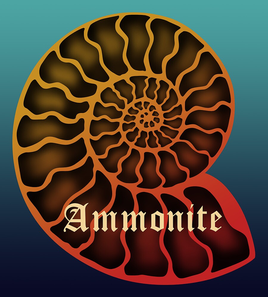 "Ammonite" by kuuma | Redbubble