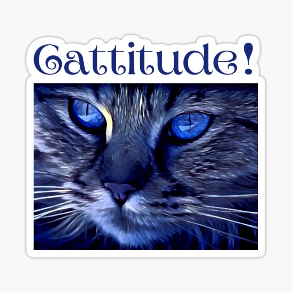 "Cattitude!" Sticker for Sale by Hotdogandmuffin | Redbubble