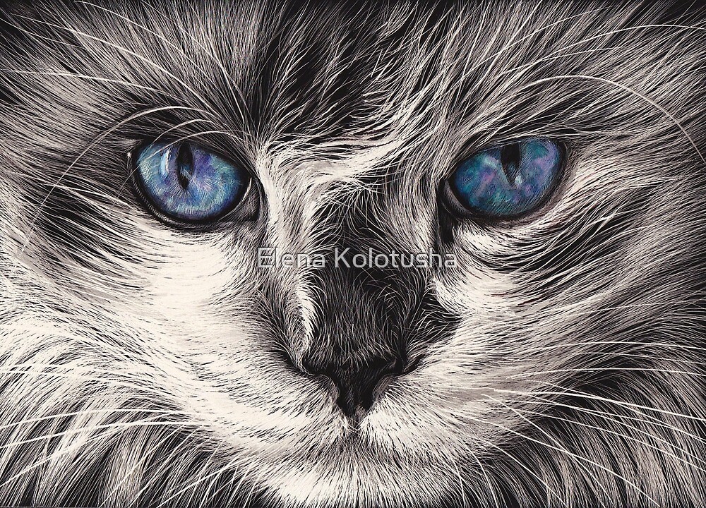 "Mad Cat" by Elena Kolotusha | Redbubble