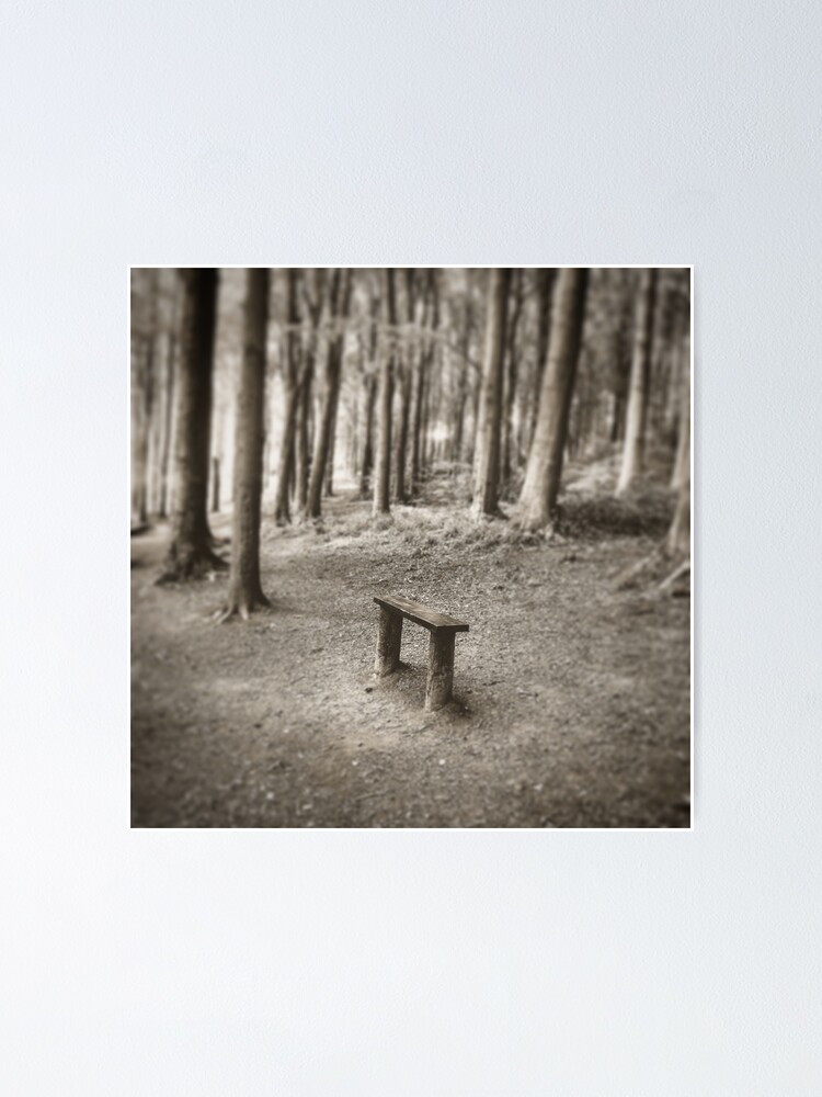 "The very first kiss" Poster for Sale by Andytakespics | Redbubble