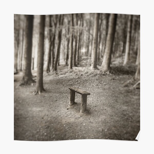 "The very first kiss" Poster for Sale by Andytakespics | Redbubble