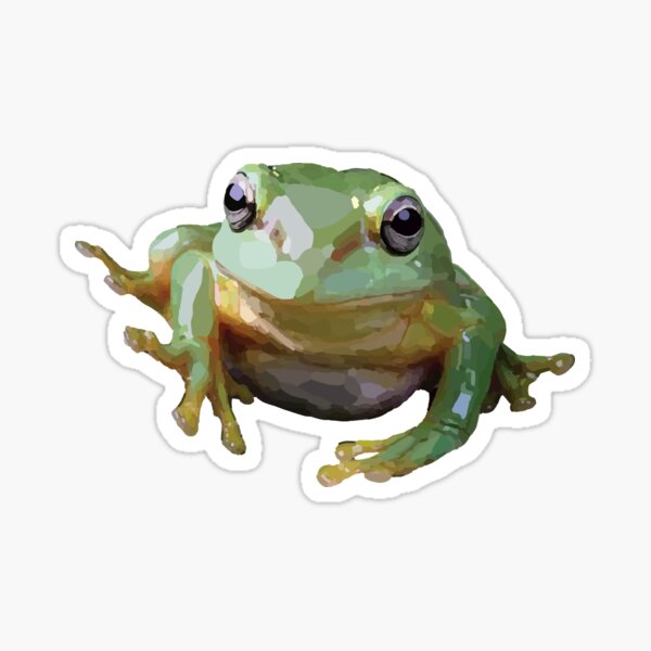 "Frog Drawing" Sticker for Sale by meghanfoleyart | Redbubble