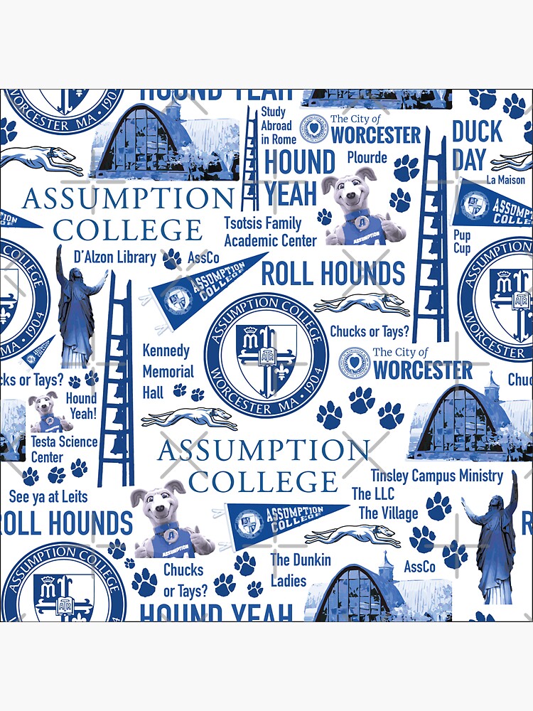 "Assumption College Pattern" Sticker for Sale by TwoBusyBabes | Redbubble