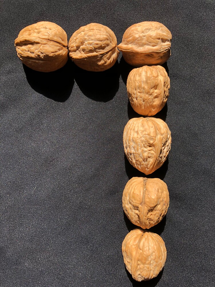 "Number 7 Good Luck Number" Sticker for Sale by 520Sunmoney | Redbubble