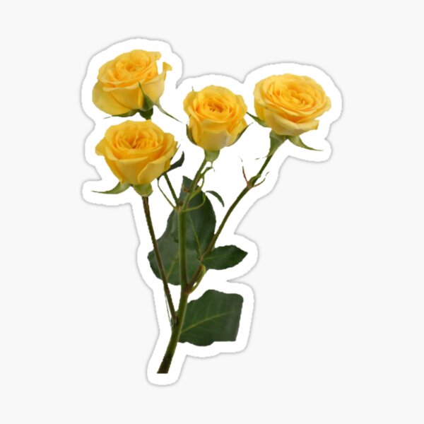"yellow rose bouquet sticker" Sticker for Sale by mandynl15 | Redbubble