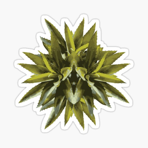 "Face of Agave" Sticker for Sale by Xilie | Redbubble