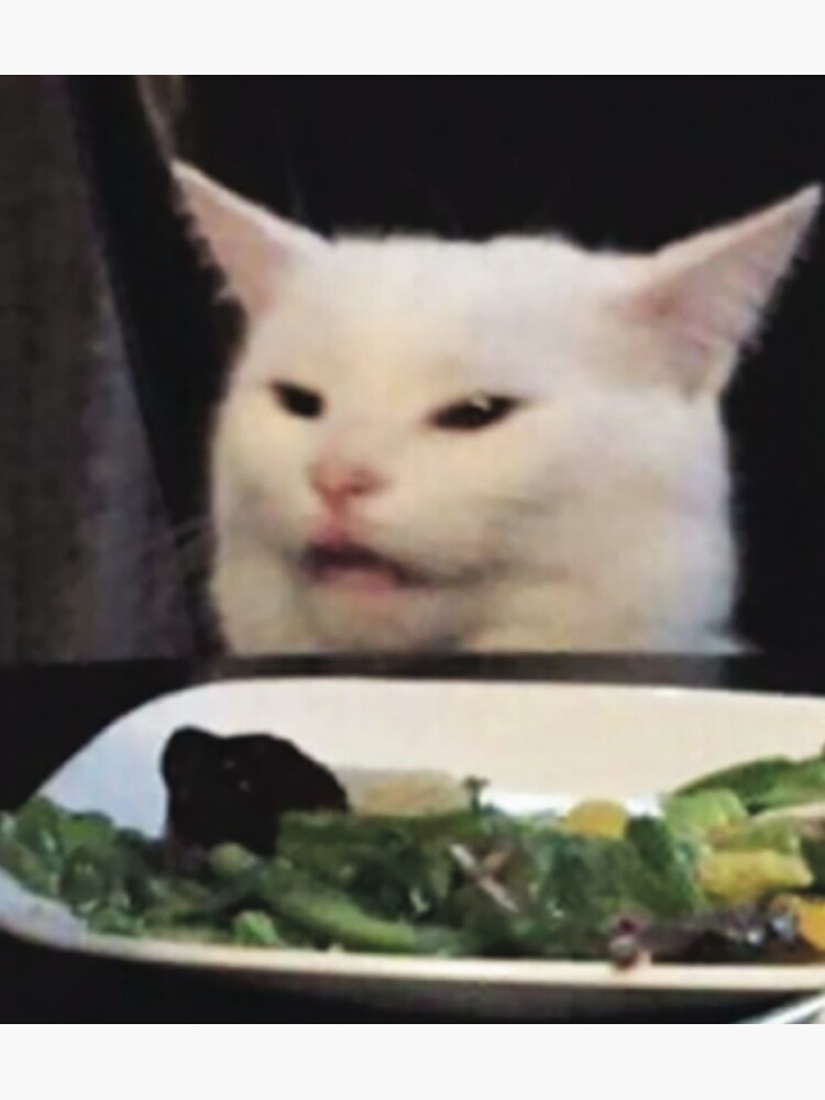 "Disappointed cat meme" Sticker for Sale by Mariascientist | Redbubble