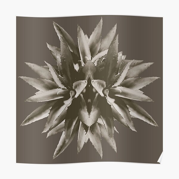 "Face of Agave Sepia" Poster by Xilie | Redbubble