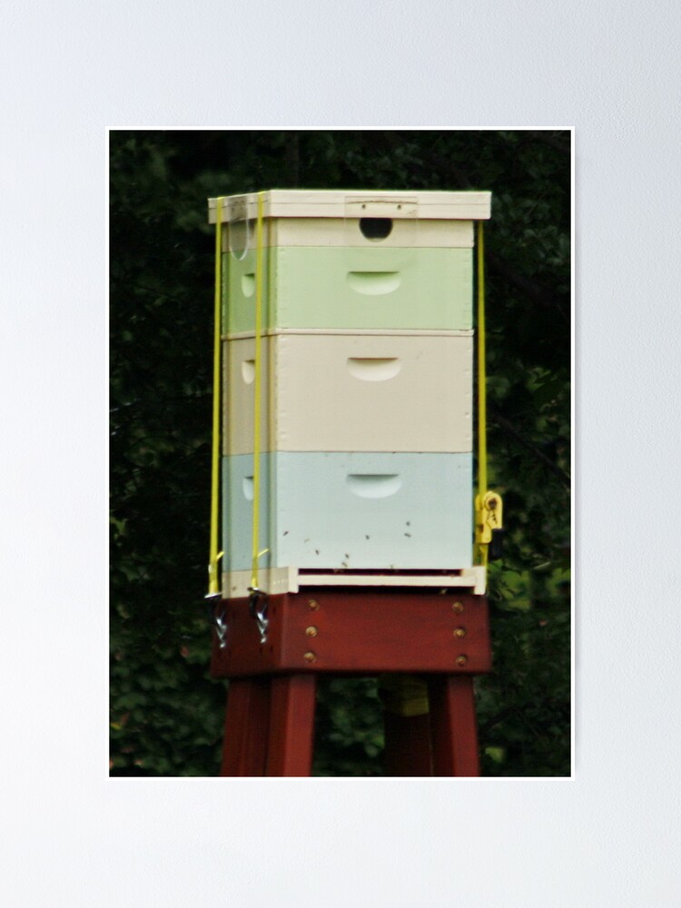 "Beehive" Poster for Sale by AnnDixon | Redbubble