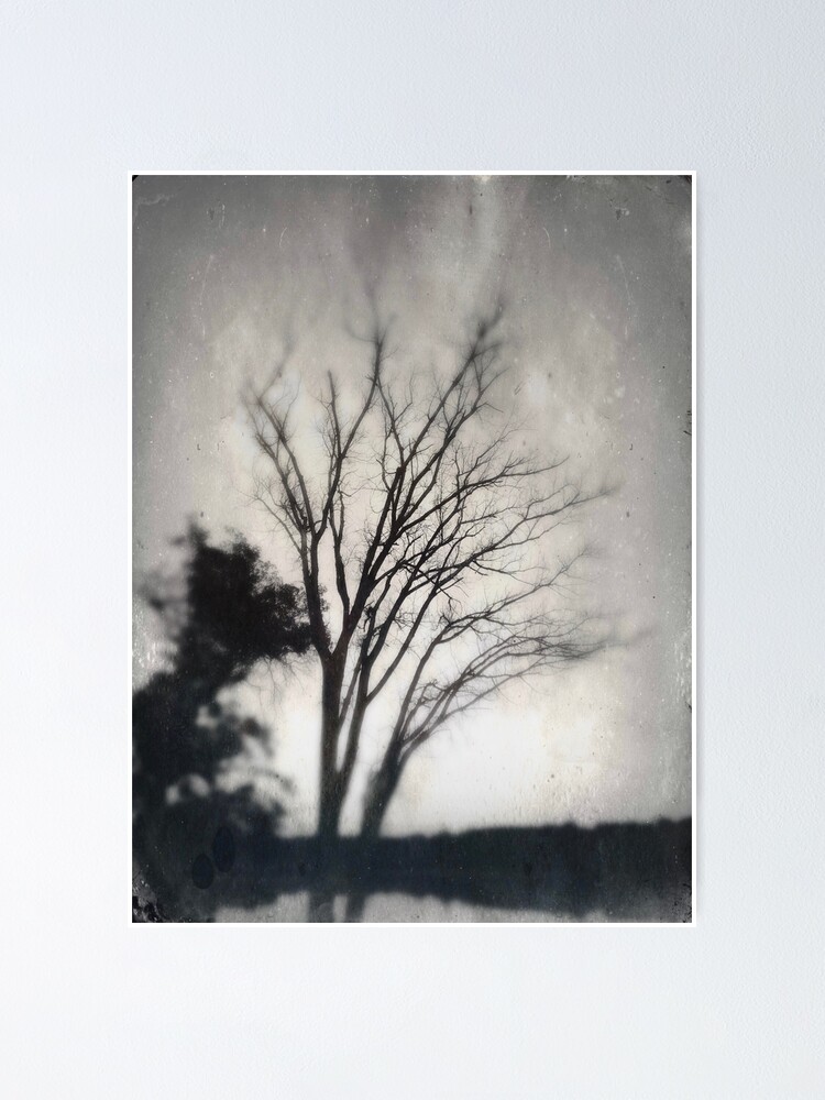 "Dusky Limbs Embrace The Moon" Poster for Sale by XXXZombieboyXXX ...