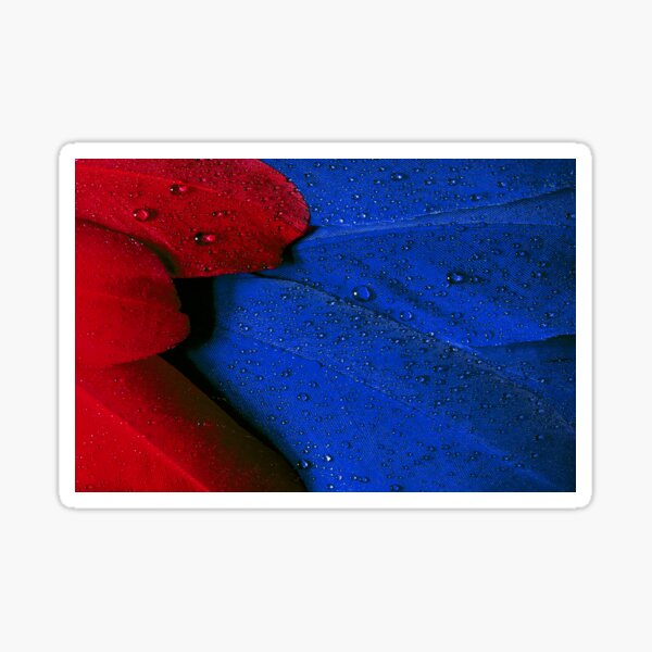 "Leather Animal Print Red Blue" Sticker for Sale by HummingbirdTop ...