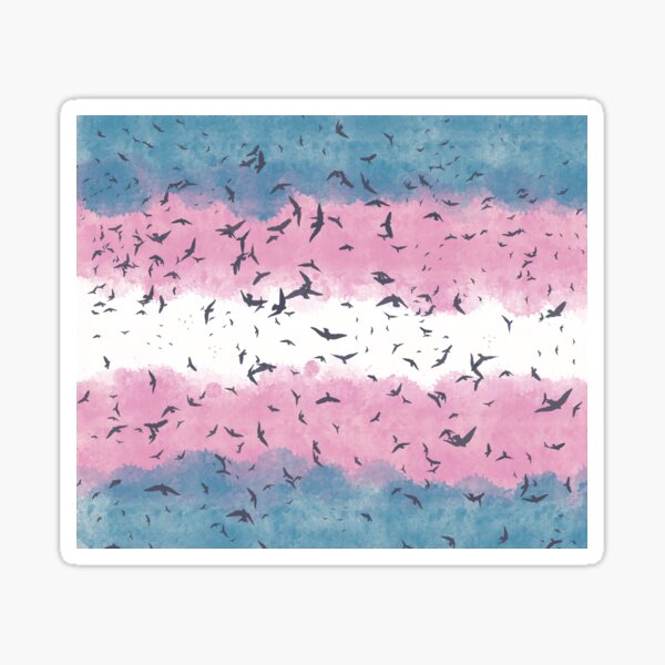 "Transgender Pride Flag with a Flock of Birds" Sticker for Sale by ...