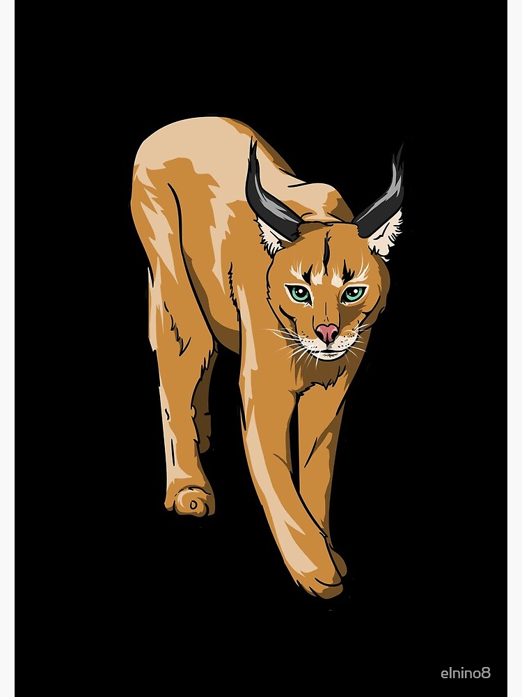 Gatos Caracales Así Era El Magerifelis Piegnei, El Gato Que Habitó