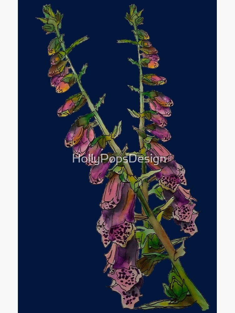 "Foxglove watercolour painting" Poster by HollyPopsDesign | Redbubble