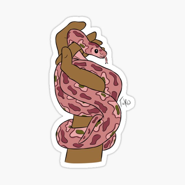 "Strawberry Snake" Sticker by T-a-KO | Redbubble