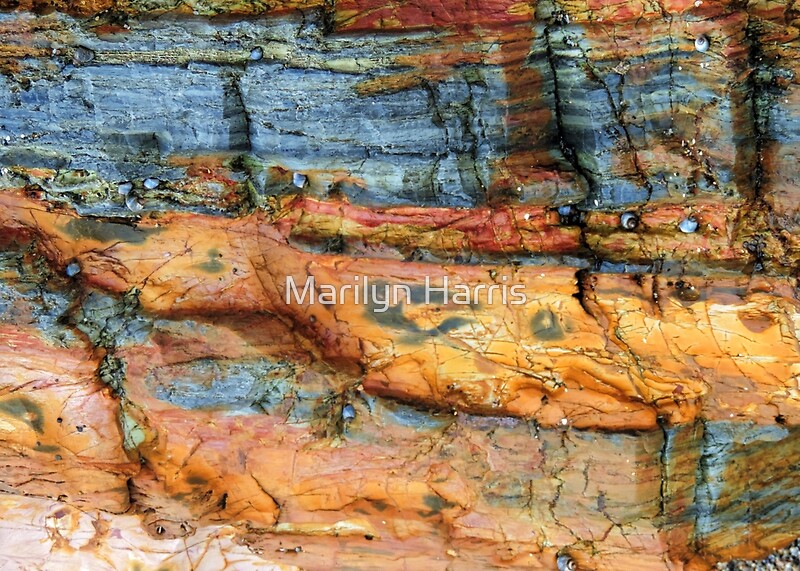 "Nature's Rock Art #2" by Marilyn Harris | Redbubble