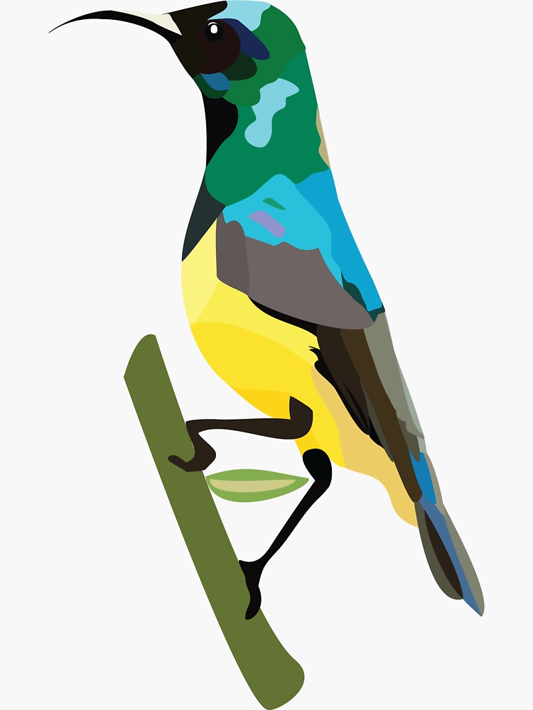 "Sunbird illustration" Sticker by VNVN | Redbubble