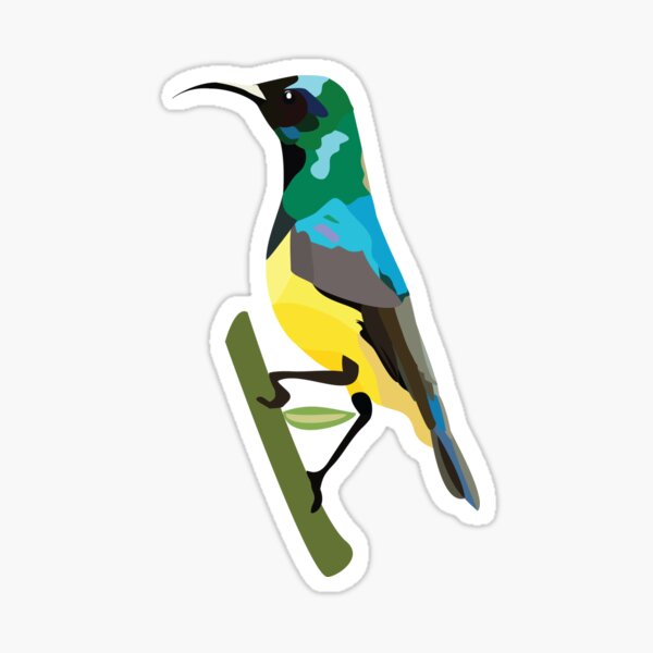 "Sunbird illustration" Sticker by VNVN | Redbubble