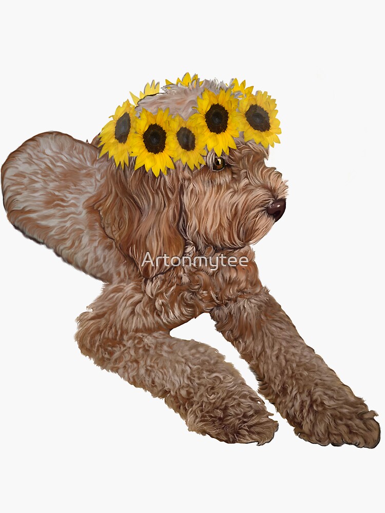 "Hippie boho Cavapoo Cavoodle puppy with flower crown - cute cavalier ...