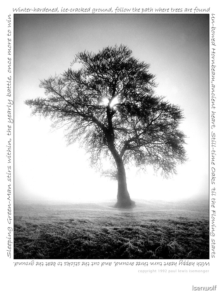 "Follow the Path where Trees are found" Poster for Sale by Isenwolf ...