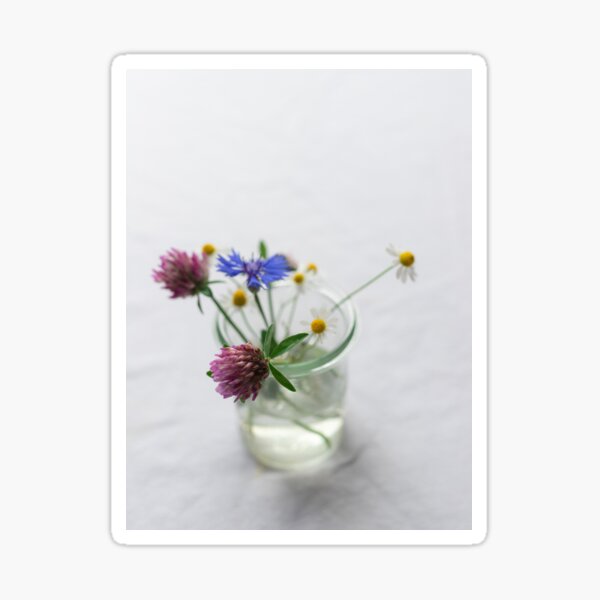 "flower vase" Sticker for Sale by Aranmulla | Redbubble