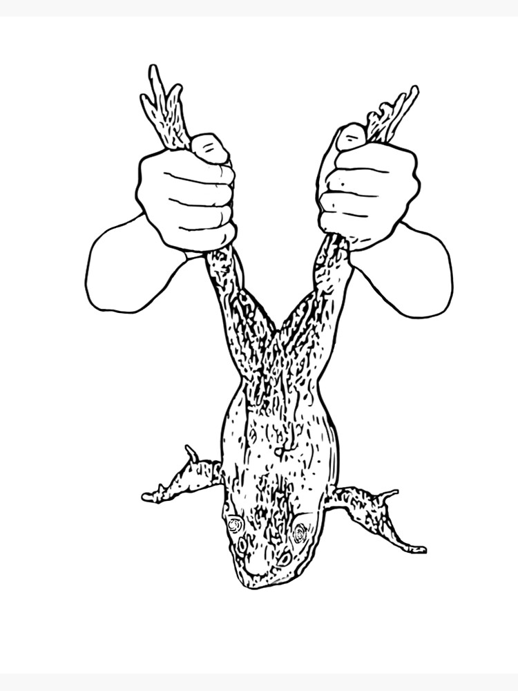 "Frog Gigger holding a frog after gigging under moon light" Art Board Print for Sale by ...