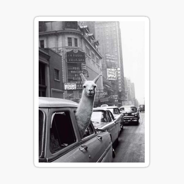 "vintage on the way poster" Sticker for Sale by weleanorwking | Redbubble