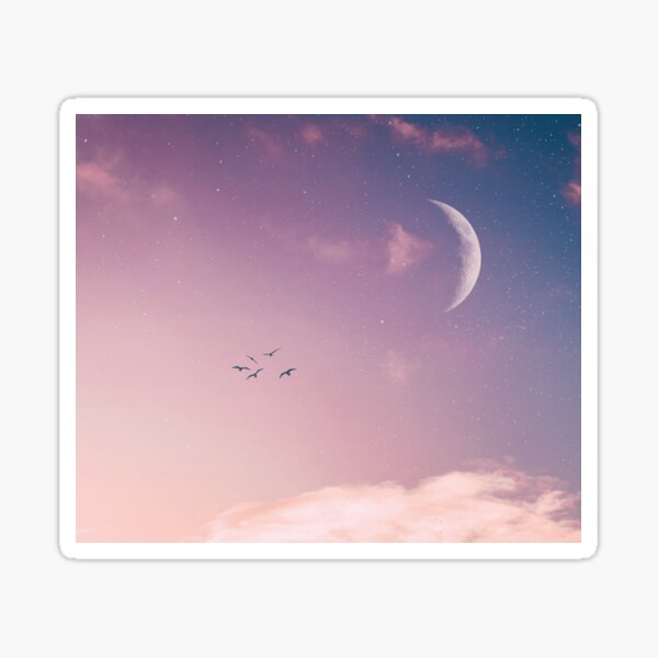 "Birds in pink sky" Sticker for Sale by ColorsHappiness | Redbubble