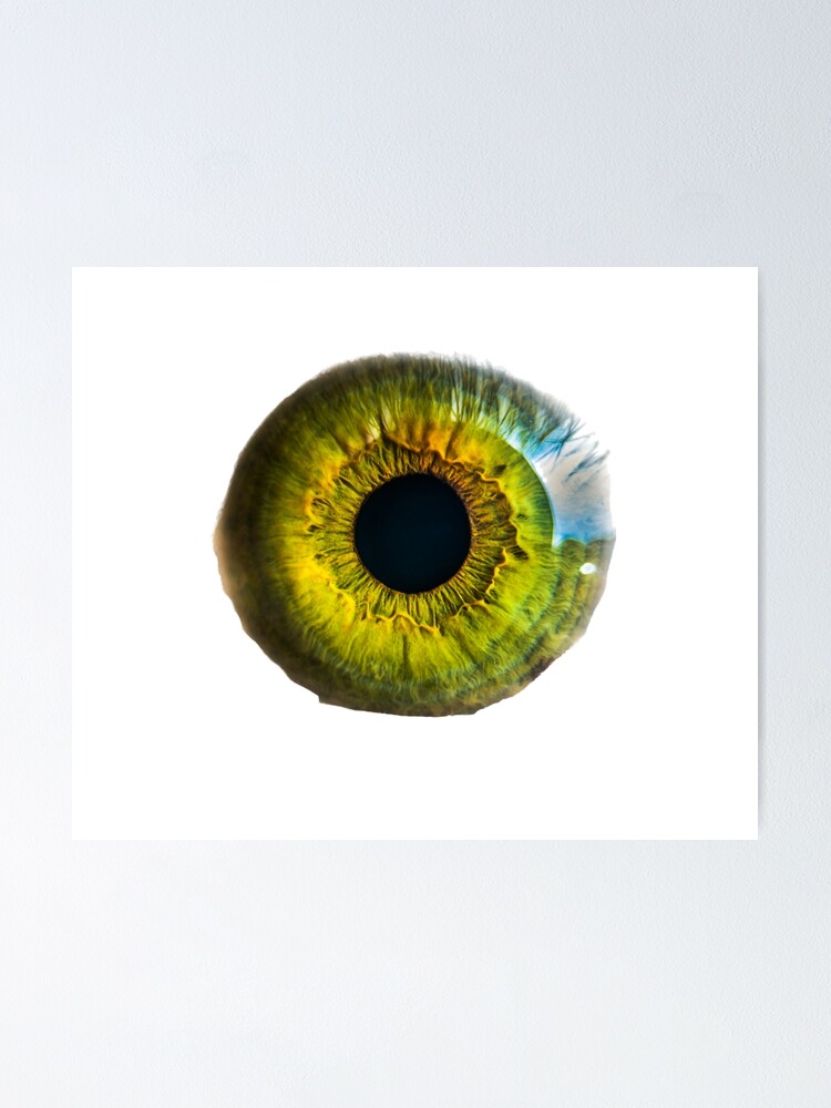 "Human iris" Poster for Sale by Stingchic | Redbubble