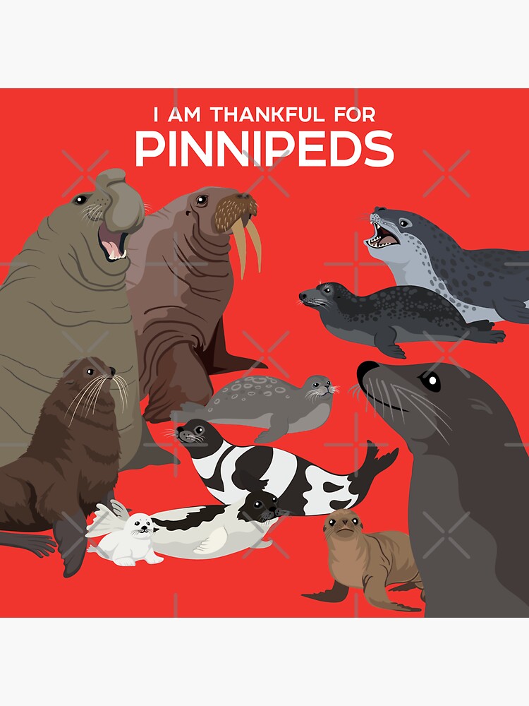 "I Am Thankful For Pinnipeds" Sticker for Sale by PepomintNarwhal ...