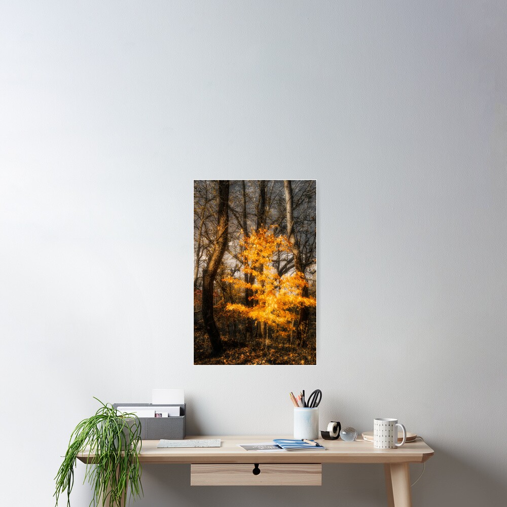 "Forest Gold" Poster by butterbean57 | Redbubble