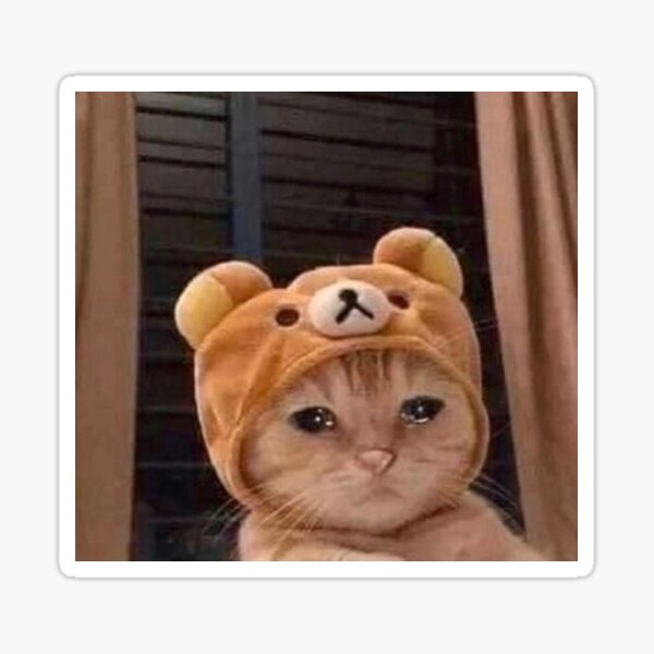 "Sad Meme" Sticker by Bitter-Sweet-G | Redbubble