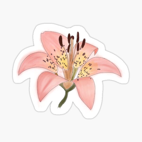 "Tiger Lily Watercolor" Sticker for Sale by Craftlada | Redbubble