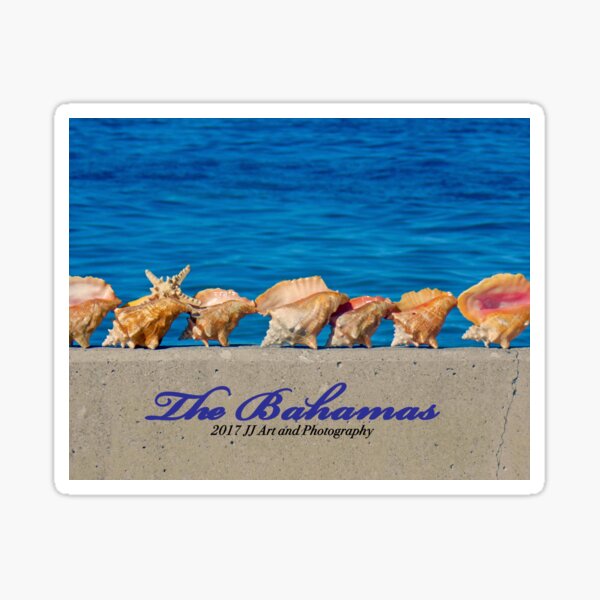 "Bahamas Sea Shells" Sticker by jezebel521 | Redbubble