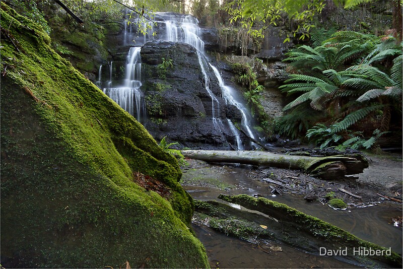 "Henderson Falls " by David Hibberd | Redbubble