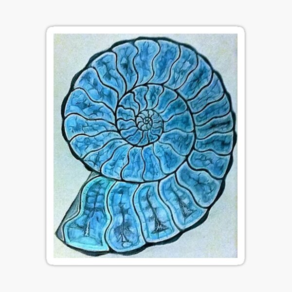 "Blue Ammonite" Sticker by Jojoahatton | Redbubble