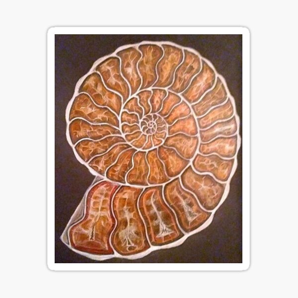 "Ammonite" Sticker by Jojoahatton | Redbubble