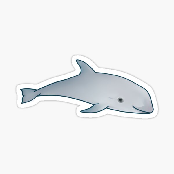 "Save the Vaquita" Sticker by designsbyjoanna | Redbubble