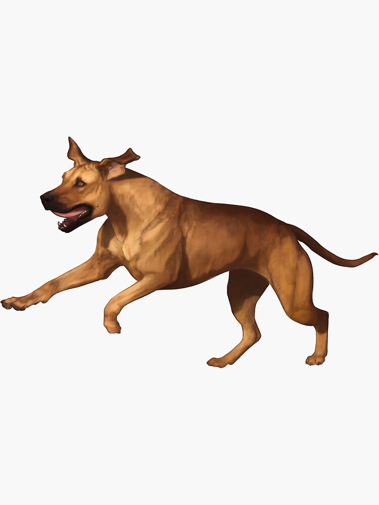 "Realistic Running Dog Drawing" Sticker by NimblePickle | Redbubble