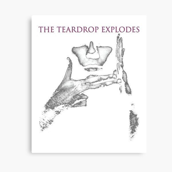 Teardrop Explodes Canvas Prints | Redbubble