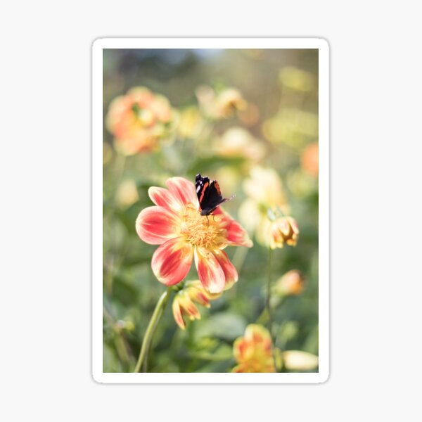 "Butterfly on flower" Sticker by AistePak | Redbubble