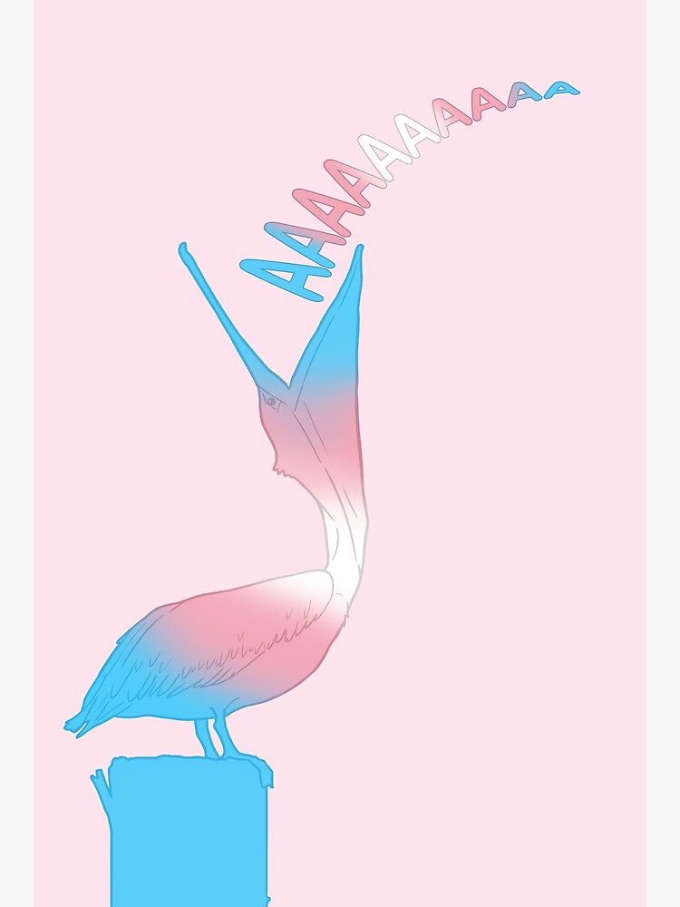 "Trans Pelican screaming" Poster by NimblePickle | Redbubble
